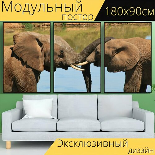 Модульный постер "Слон, саванновый африканский слон, пустыня" 180 x 90 см. для интерьера