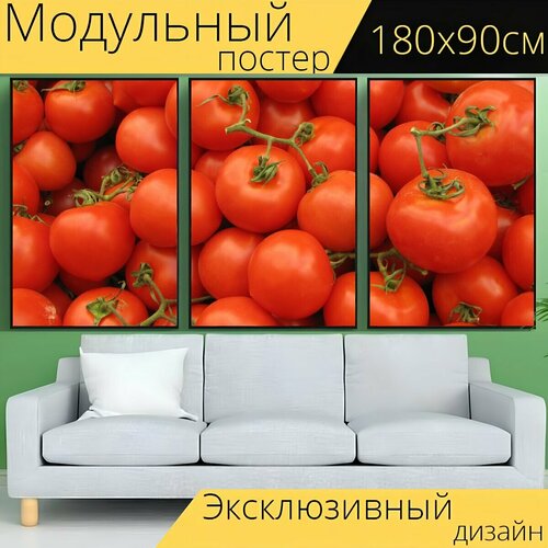 Модульный постер "Помидор, еда, овощ" 180 x 90 см. для интерьера