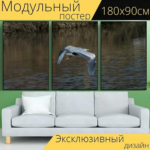 Модульный постер "Серая цапля, летающий, озеро" 180 x 90 см. для интерьера