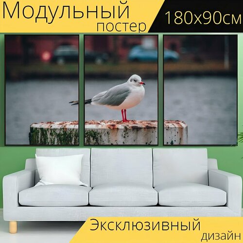 Модульный постер "Чайка, птица, сообщение" 180 x 90 см. для интерьера