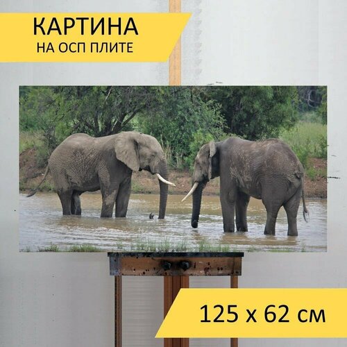 Картина на ОСП 125х62 см. "Африканские слоны, глазеть, трогать" горизонтальная, для интерьера, с креплениями