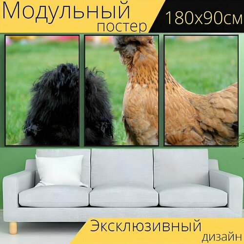 Модульный постер "Куры, курица, птицы" 180 x 90 см. для интерьера