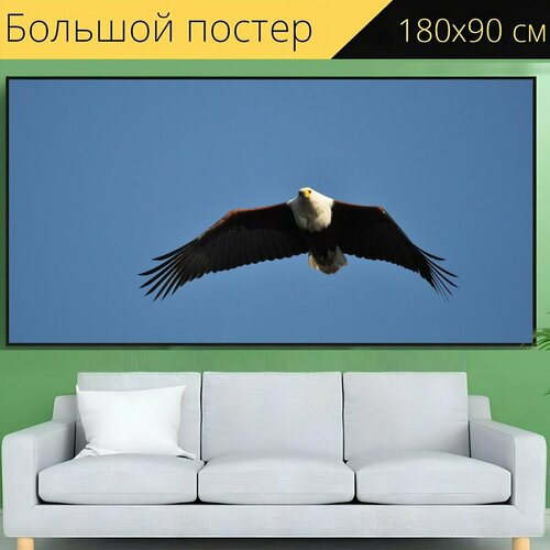 Большой постер "Птица, хищник, орел" 180 x 90 см. для интерьера