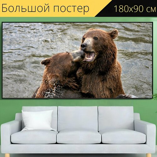 Большой постер "Бурые медведи, играть, шерсть" 180 x 90 см. для интерьера