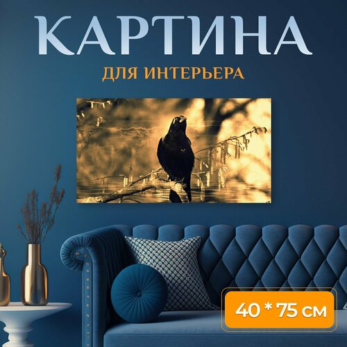 Картина на холсте "Ворона, птица, животное" на подрамнике 75х40 см. для интерьера