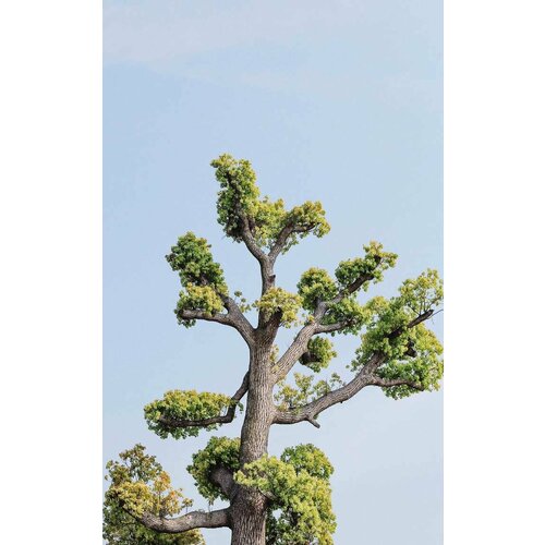 Картина на холсте 60x110 LinxOne "Дерево, ветки, листья" интерьерная для дома / на стену / на кухню / с подрамником