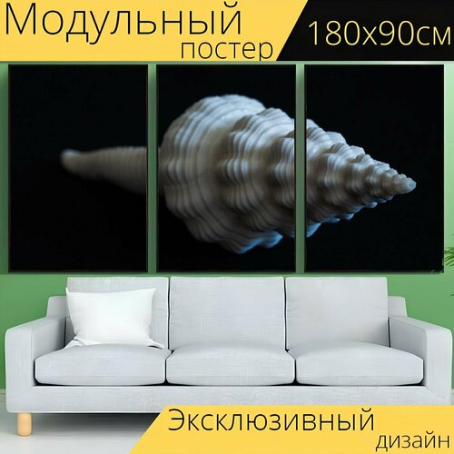 Модульный постер "Морская ракушка, моллюск, море" 180 x 90 см. для интерьера