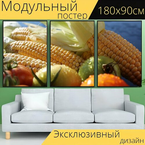 Модульный постер "Кукуруза, кукуруза в початках, помидоры" 180 x 90 см. для интерьера