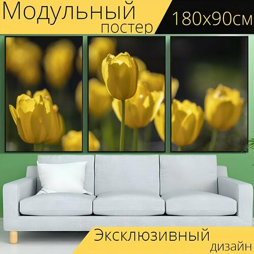 Модульный постер "Тюльпан, желтый, природа" 180 x 90 см. для интерьера
