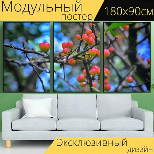 Модульный постер "Ягода, вишня, фрукты" 180 x 90 см. для интерьера