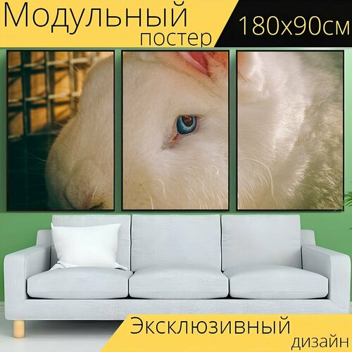 Модульный постер "Кролики, кролик, животное" 180 x 90 см. для интерьера