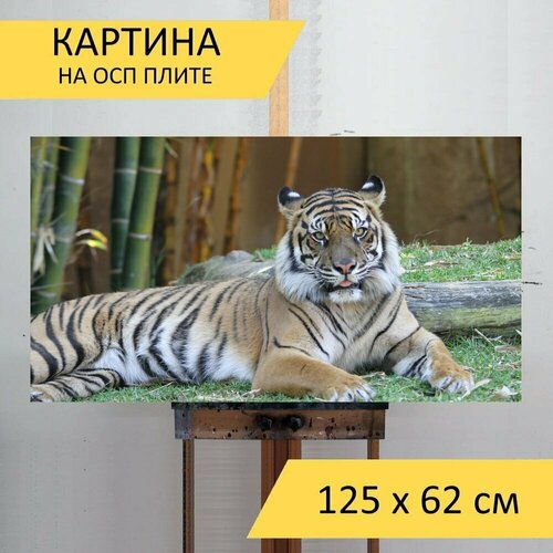 Картина на ОСП 125х62 см. "Тигр, большой кот, хищник" горизонтальная, для интерьера, с креплениями