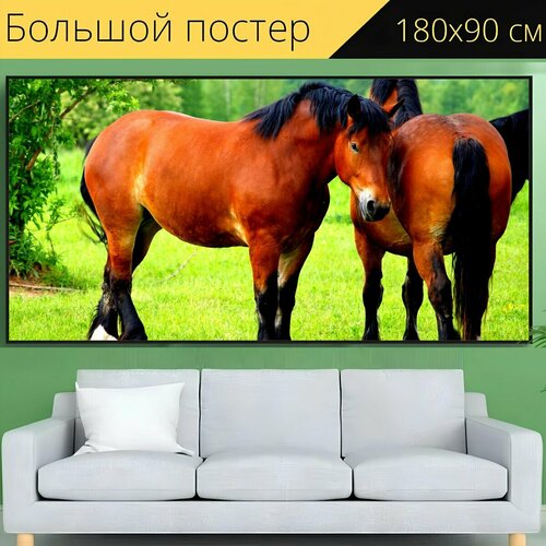 Большой постер "Лошадь, лошади, животное" 180 x 90 см. для интерьера