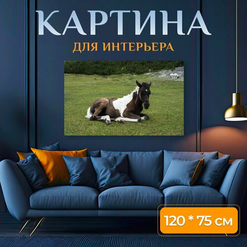 Картина на холсте "Лошадь, жеребенок, животных" на подрамнике 120х75 см. для интерьера