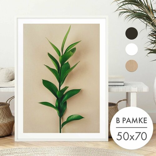 Плакат Постер 50х70 В рамке "Стебель растения" для интерьера