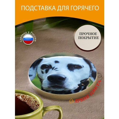 Подставка под горячее "Далматинец, собака, животное" 10 см. из блого мрамора