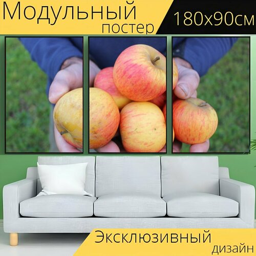 Модульный постер "Яблоко, сельское хозяйство, фрукты" 180 x 90 см. для интерьера