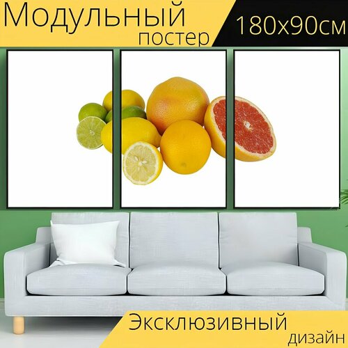 Модульный постер "Фрукты, тропический фрукт, банан" 180 x 90 см. для интерьера