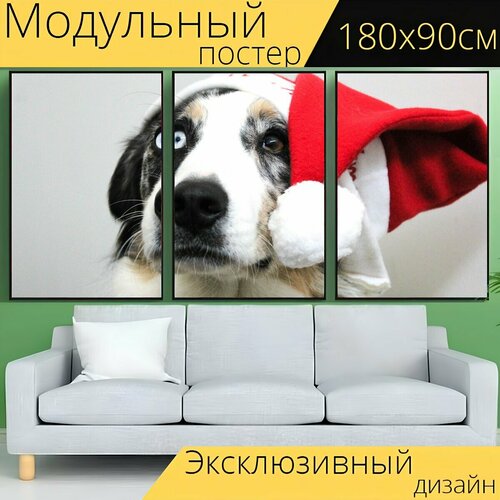 Модульный постер "Рождество, щенок, собака" 180 x 90 см. для интерьера