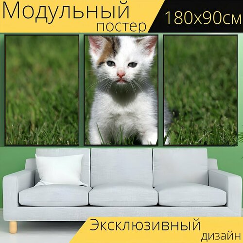Модульный постер "Кот, котенок, кошка ребенок" 180 x 90 см. для интерьера