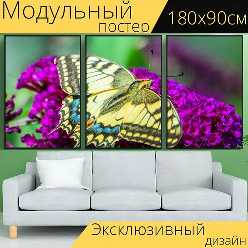 Модульный постер "Ласточкин хвост, бабочка, природа" 180 x 90 см. для интерьера