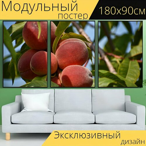 Модульный постер "Персик, дерево, фрукты" 180 x 90 см. для интерьера