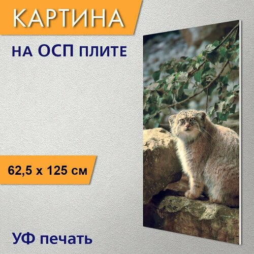 Вертикальная картина на ОСП "Кошка, рысь, сидя" 62x125 см. для интерьериа