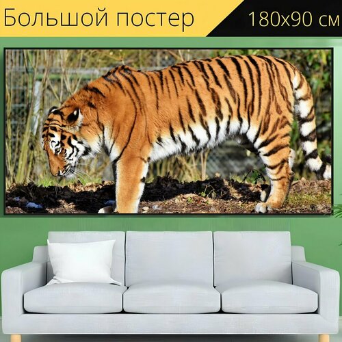 Большой постер "Тигр, большой кот, хищник" 180 x 90 см. для интерьера