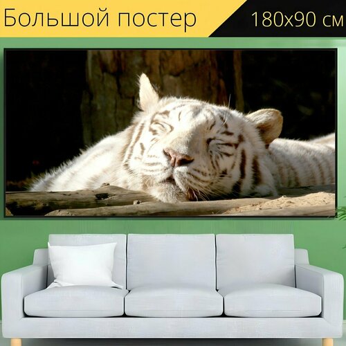 Большой постер "Обратная лопата, тигр, вздремнуть" 180 x 90 см. для интерьера
