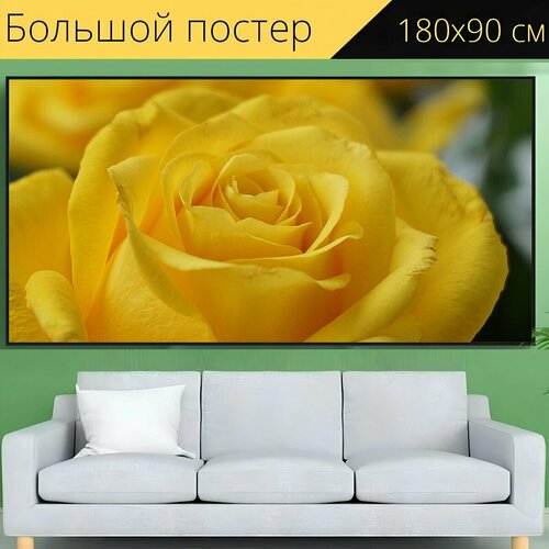 Большой постер "Желтая роза, роуз, цветок" 180 x 90 см. для интерьера