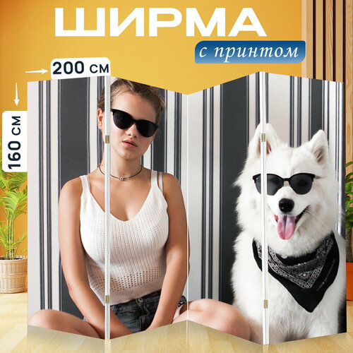 Ширма перегородка с принтом "Девушка, собака, очки" на холсте - 200x160 см. для зонирования, раскладная