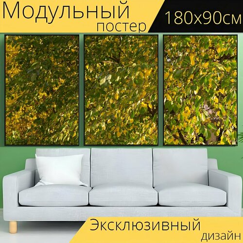 Модульный постер "Осень, листва, текстура" 180 x 90 см. для интерьера