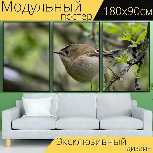 Модульный постер "Птица, королек, песня птица" 180 x 90 см. для интерьера