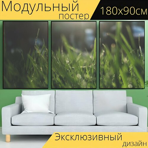 Модульный постер "Трава, природа, зеленый" 180 x 90 см. для интерьера