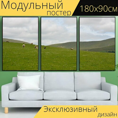 Модульный постер "Животные, природа, ирландия овец овец овец" 180 x 90 см. для интерьера