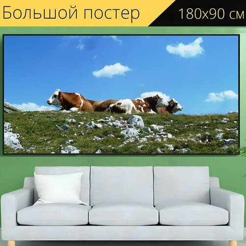 Большой постер "Коровы, альпы, гора" 180 x 90 см. для интерьера