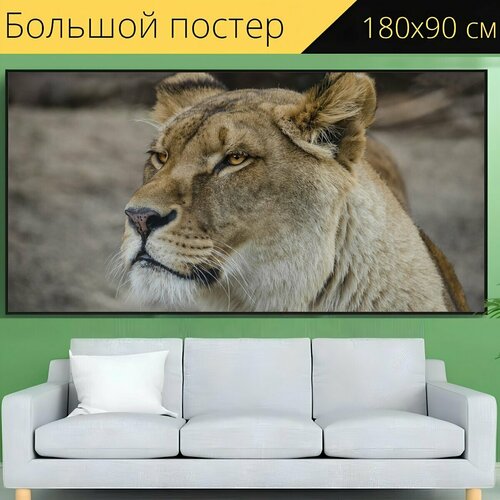 Большой постер "Лев, большой кот, львица" 180 x 90 см. для интерьера