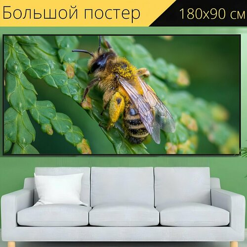 Большой постер "Пчела, весна, природа" 180 x 90 см. для интерьера