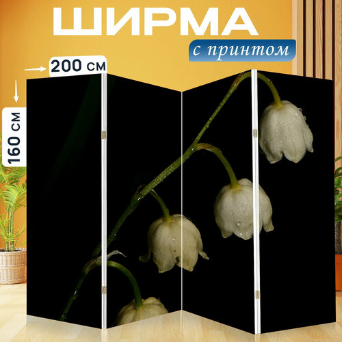 Ширма перегородка с принтом "Ландыш, цветок, природа" на холсте - 200x160 см. для зонирования, раскладная