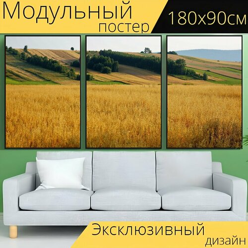 Модульный постер "Пшеница, поле, обрезать" 180 x 90 см. для интерьера