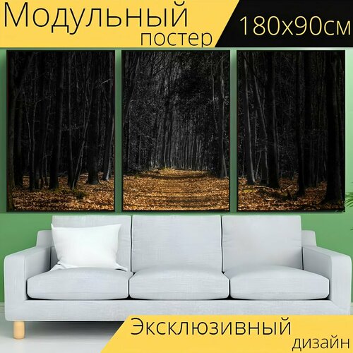 Модульный постер "Лесная тропа, деревья, природа" 180 x 90 см. для интерьера