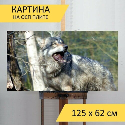Картина на ОСП 125х62 см. "Волк, серый, млекопитающее" горизонтальная, для интерьера, с креплениями