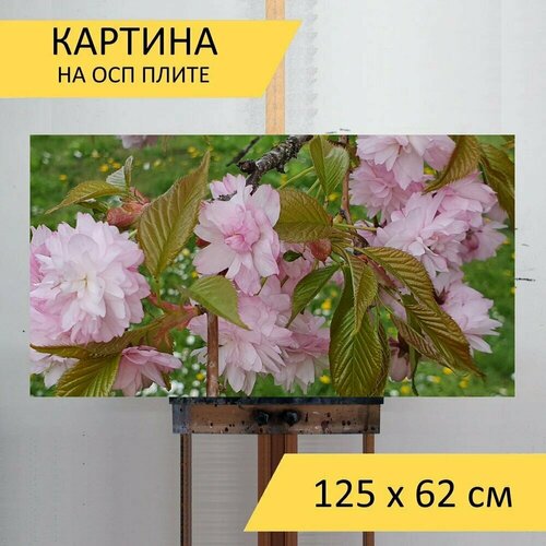 Картина на ОСП 125х62 см. "Цветение вишни, розовые цветы, цветы" горизонтальная, для интерьера, с креплениями