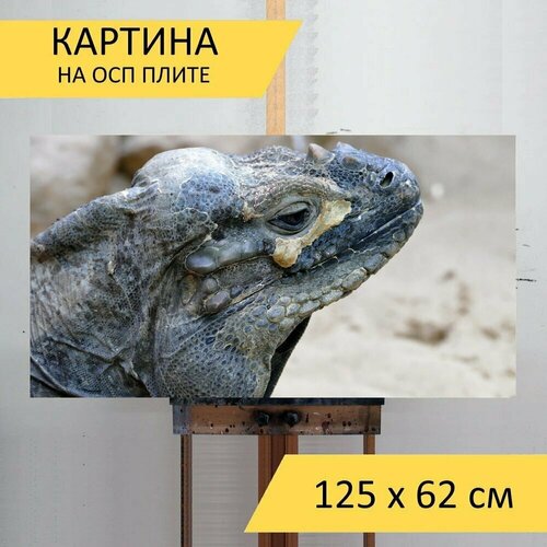 Картина на ОСП 125х62 см. "Игуана, рептилия, ящерица" горизонтальная, для интерьера, с креплениями