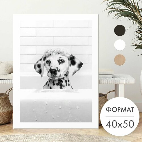 Плакат Постер 40х50 без рамки "Далматинец в ванной" для интерьера