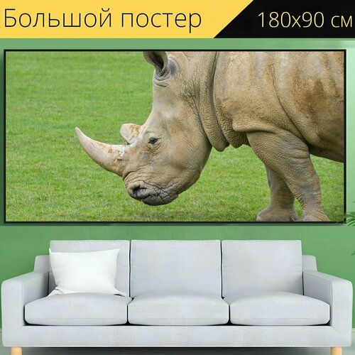 Большой постер "Носорог, трава, рог" 180 x 90 см. для интерьера