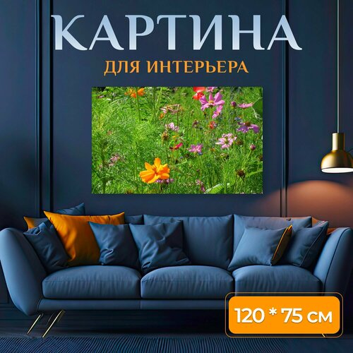 Картина на холсте "Полевые цветы, природа, на открытом воздухе" на подрамнике 120х75 см. для интерьера