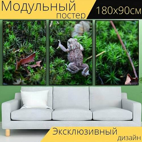 Модульный постер "Лягушка, природа, лес" 180 x 90 см. для интерьера