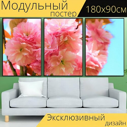 Модульный постер "Японский вишневое дерево, цветок, весна" 180 x 90 см. для интерьера