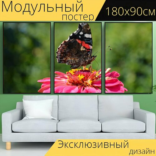 Модульный постер "Бабочка, цинния, цвести" 180 x 90 см. для интерьера